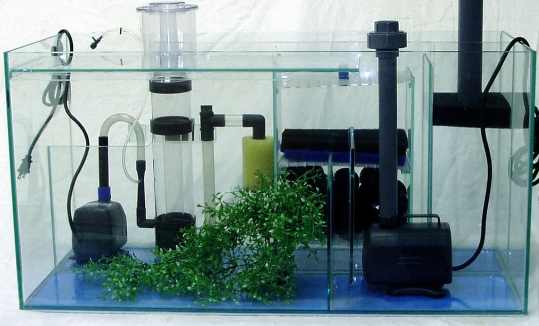 Les différents systèmes de filtration de l'aquarium - Le blog de La ...